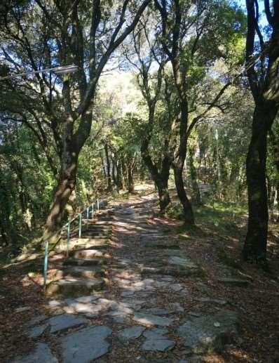 Appartamento in vendita a Rapallo