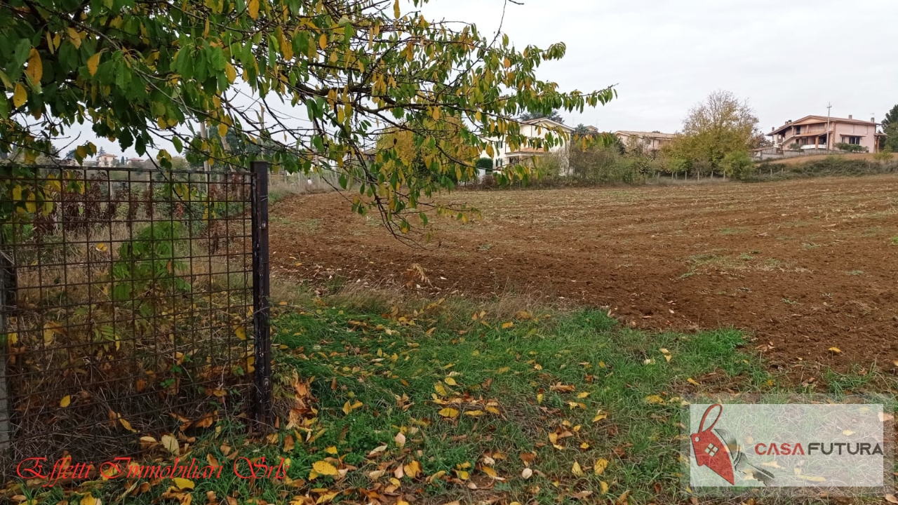 Terreno agricolo in vendita a Artena