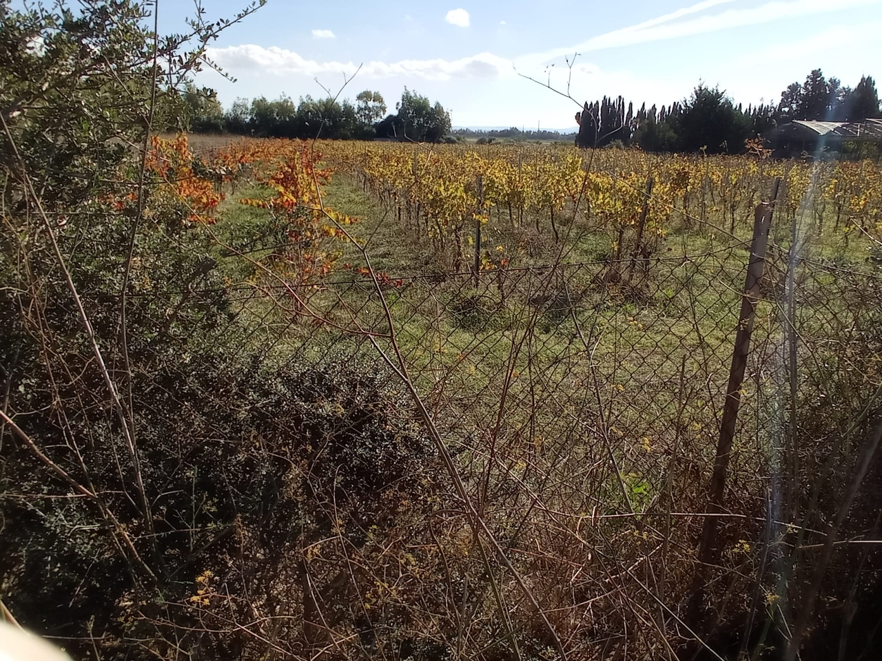 Terreno edificabile in vendita a Alghero