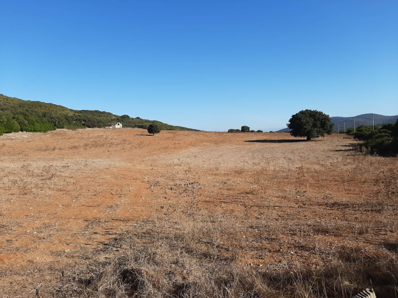 Terreno agricolo in vendita a Sassari