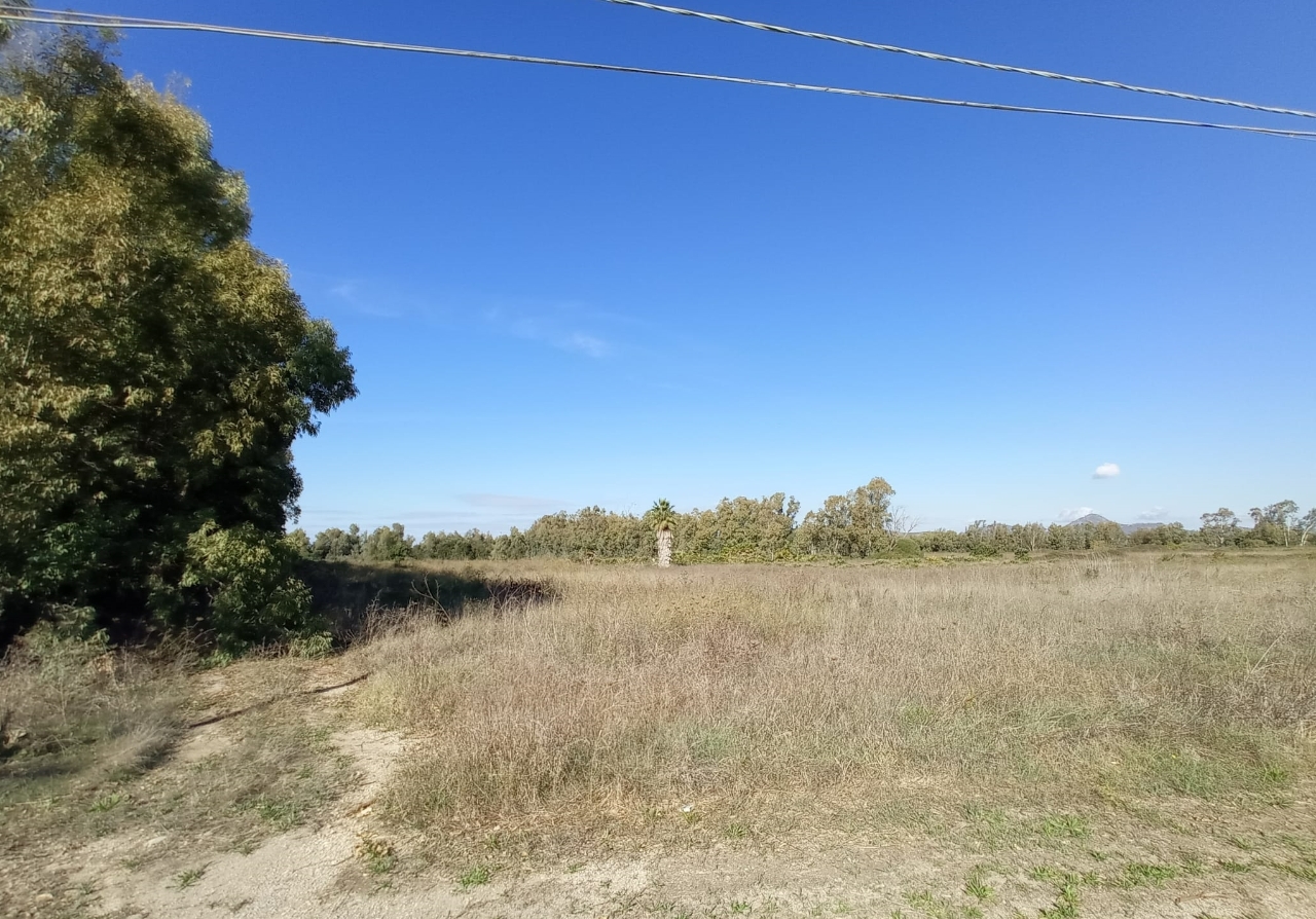 Terreno agricolo in vendita a Sassari