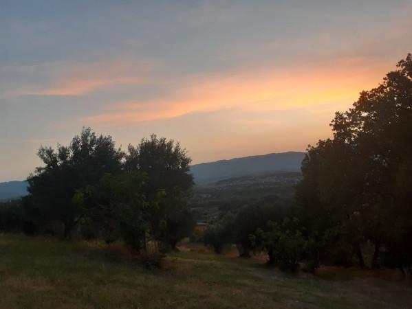 Terreno agricolo in vendita a Rose