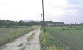 Terreno agricolo in vendita a Ponte Buggianese