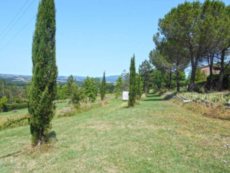 Terreno agricolo in vendita a Monticiano