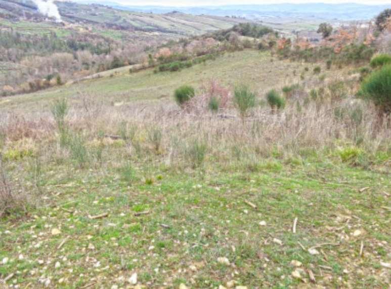 Terreno agricolo in vendita a Piancastagnaio