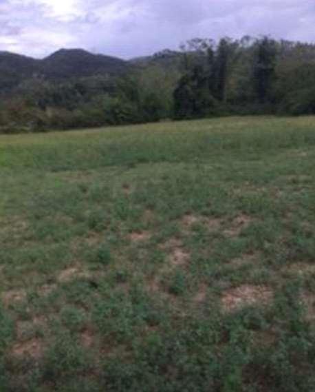 Terreno agricolo in vendita a Brugnato