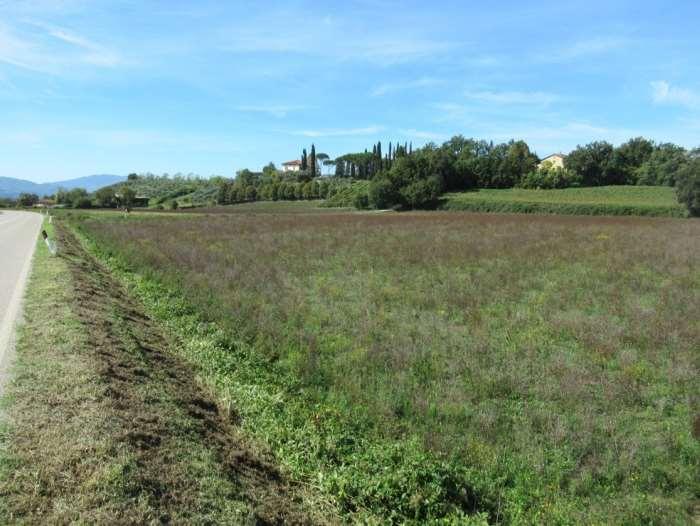 Terreno agricolo in vendita a Scarperia e San Piero