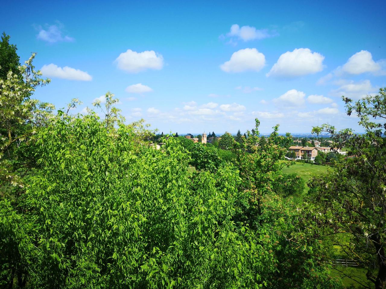 Villa in vendita a Albinea