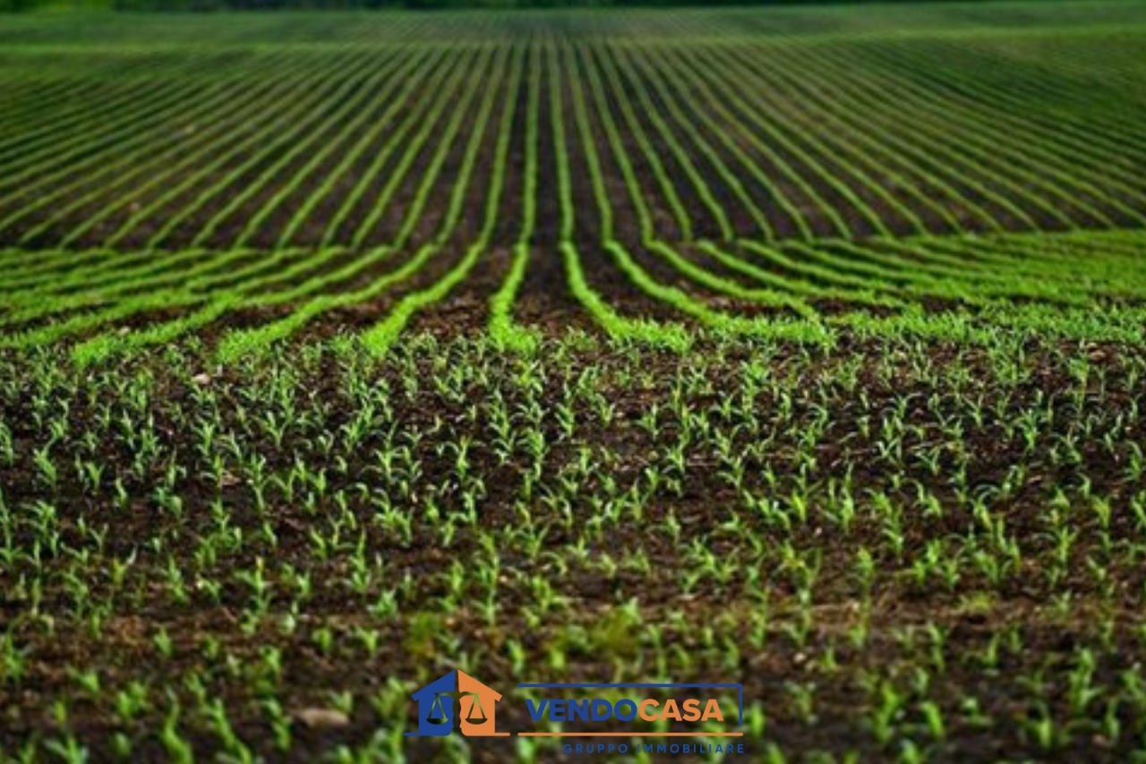 Terreno agricolo in vendita a Narzole