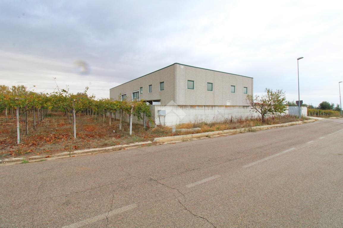 Appartamento in vendita a Crecchio