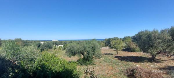 Villa plurifamiliare in vendita a Carovigno