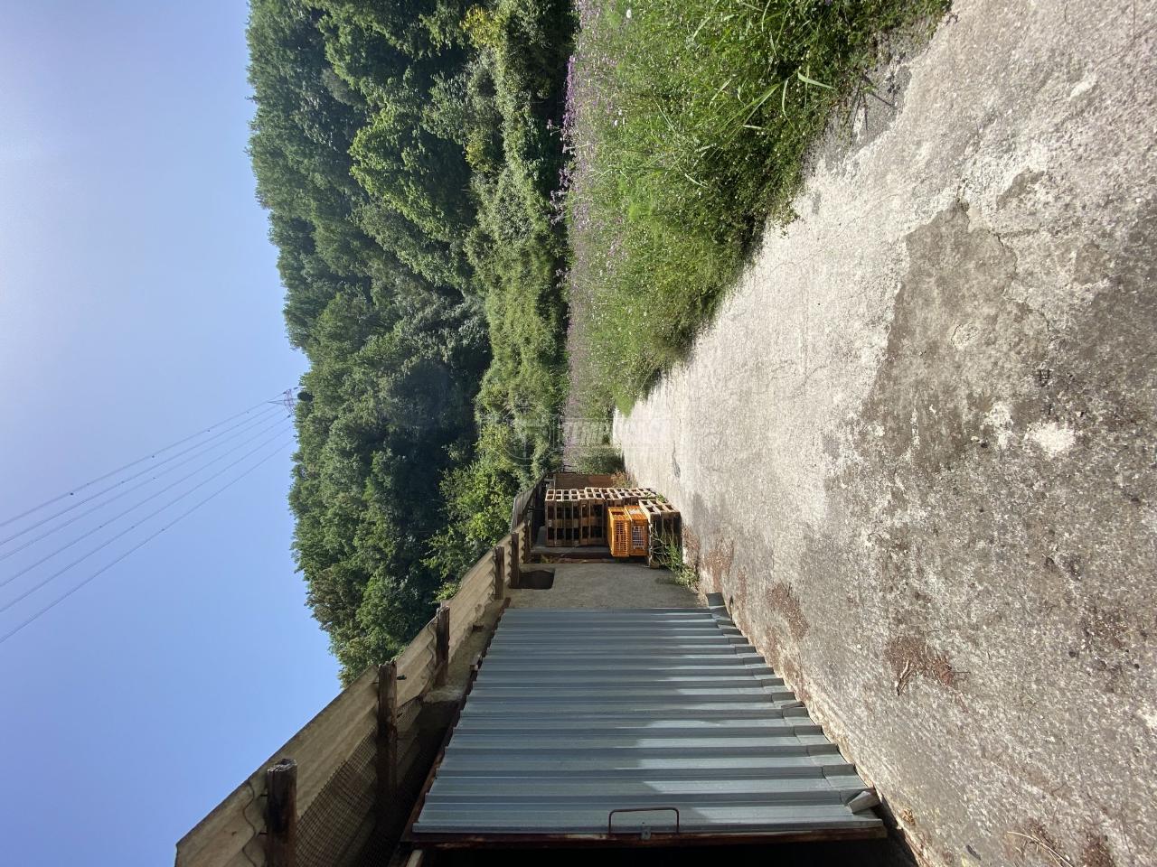 Rustico in vendita a Saponara