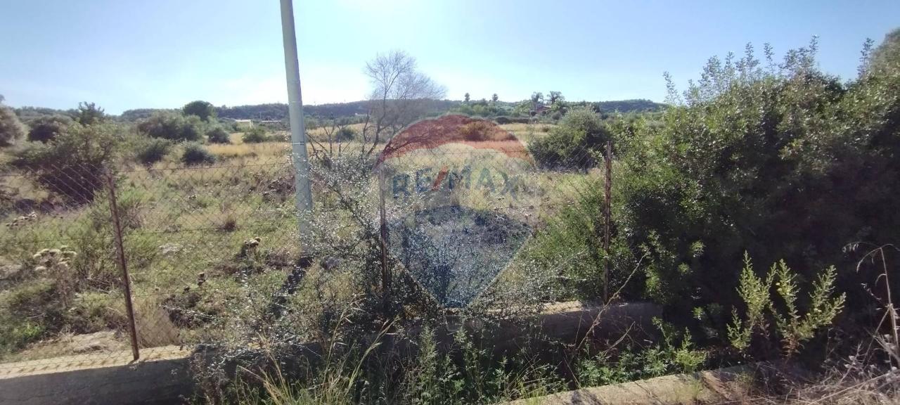 Terreno agricolo in vendita a Floridia