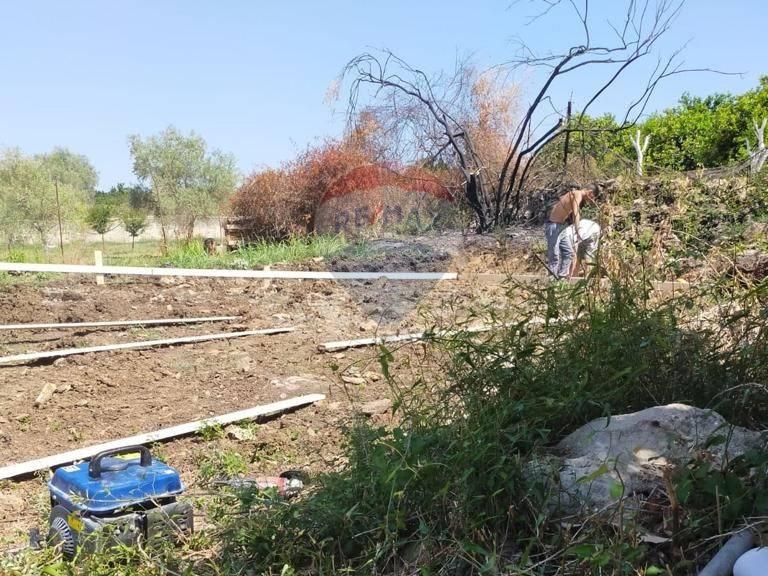 Terreno agricolo in affitto a Siracusa