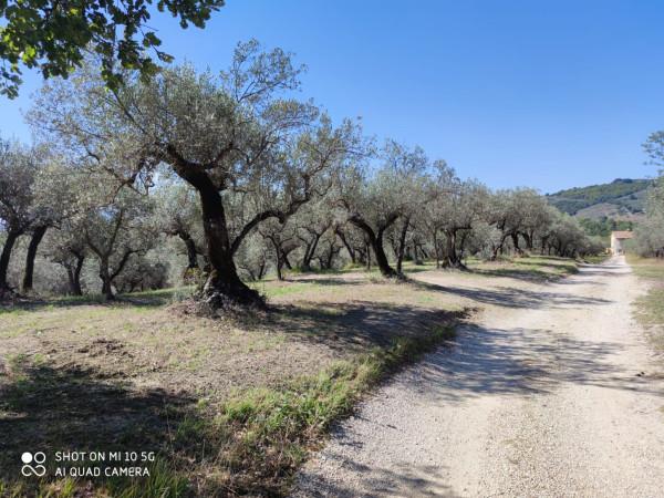 Casale in vendita a Bevagna