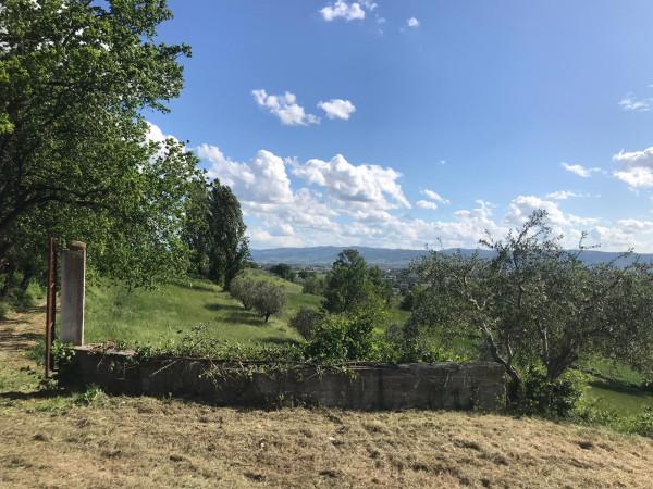 Terreno agricolo in vendita a Assisi