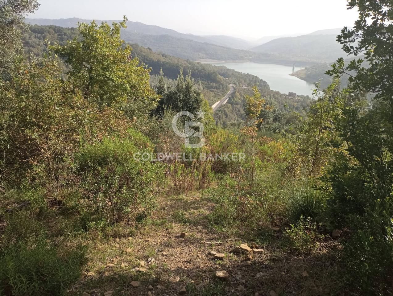 Terreno agricolo in vendita a Cicerale