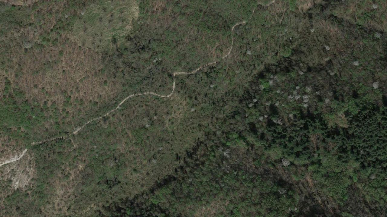 Terreno agricolo in vendita a Vicchio