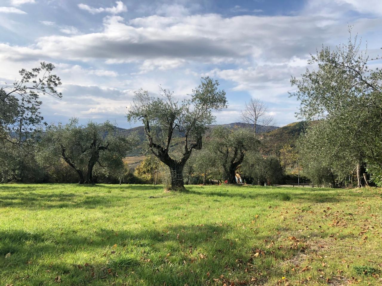 Terreno agricolo in vendita a Pontassieve