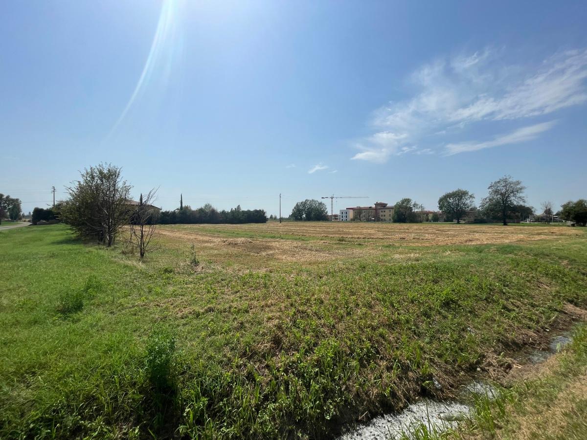 Terreno edificabile in vendita a Castelfranco Emilia