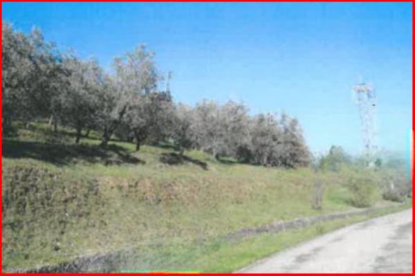 Appartamento in vendita a Quarrata
