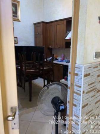 Appartamento in vendita a Palo Del Colle