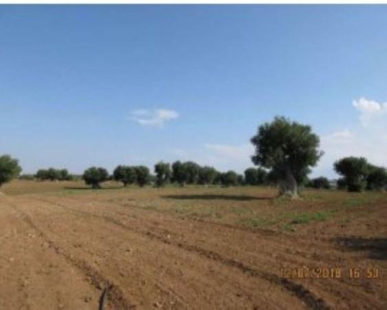 Terreno agricolo in vendita a Polignano A Mare