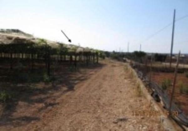 Terreno agricolo in vendita a Polignano A Mare