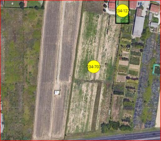 Terreno agricolo in vendita a Pistoia