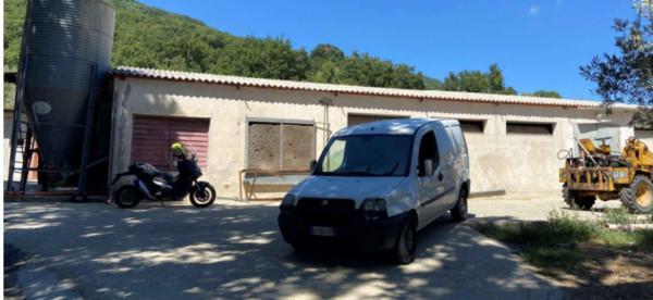 Capannone in vendita a Rota Greca