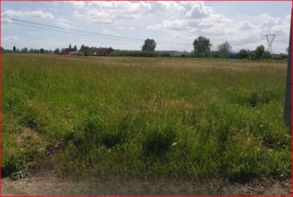 Terreno agricolo in vendita a Monsummano Terme