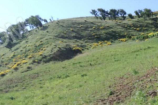 Terreno agricolo in vendita a Irsina
