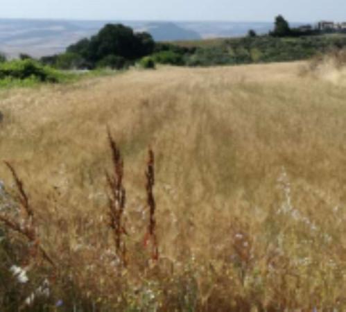 Terreno agricolo in vendita a Irsina