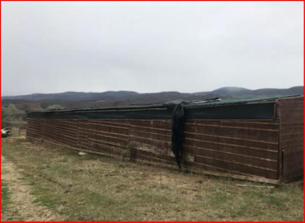 Terreno agricolo in vendita a Sinalunga