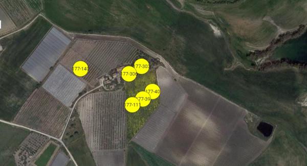 Terreno agricolo in vendita a Naro