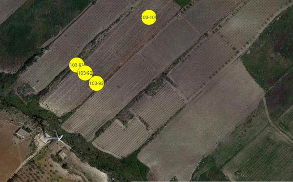 Terreno agricolo in vendita a Naro