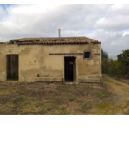 Terreno agricolo in vendita a Caltagirone