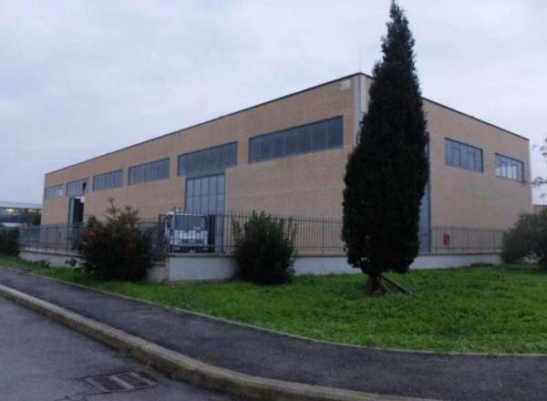 Capannone in vendita a Orbetello