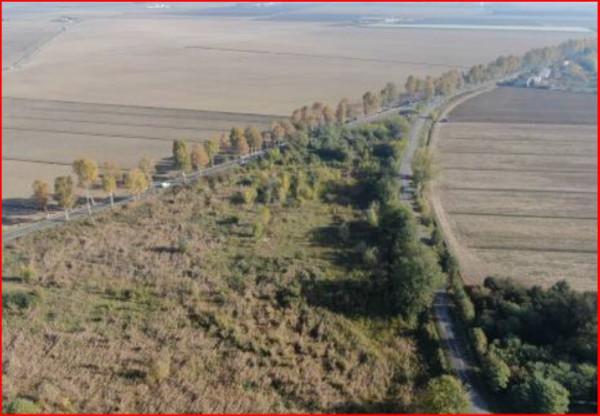 Terreno agricolo in vendita a Fiscaglia