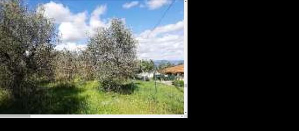Terreno agricolo in vendita a Civitella Roveto