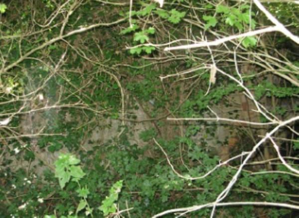 Terreno agricolo in vendita a Tolentino