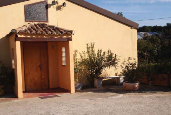 Capannone in vendita a San Marco Argentano