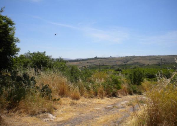 Terreno agricolo in vendita a Lentini