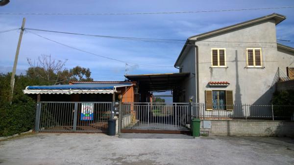 Capannone in vendita a Cellole
