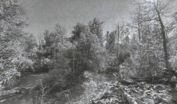 Appartamento in vendita a Monticiano