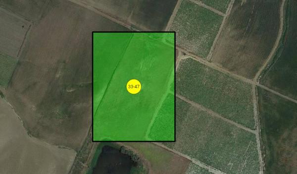 Terreno agricolo in vendita a Mineo