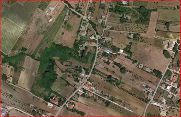 Terreno agricolo in vendita a Salemi