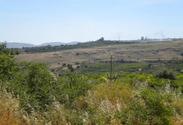 Terreno agricolo in vendita a Alife