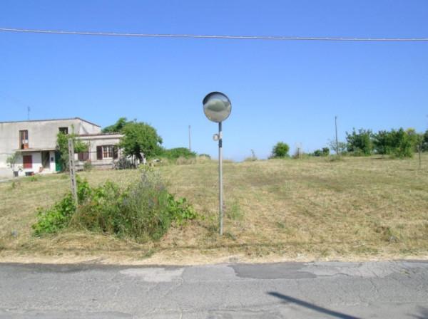 Terreno agricolo in vendita a Ardea