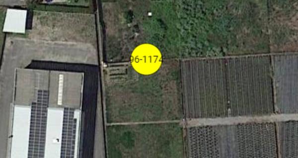 Terreno agricolo in vendita a Pescia